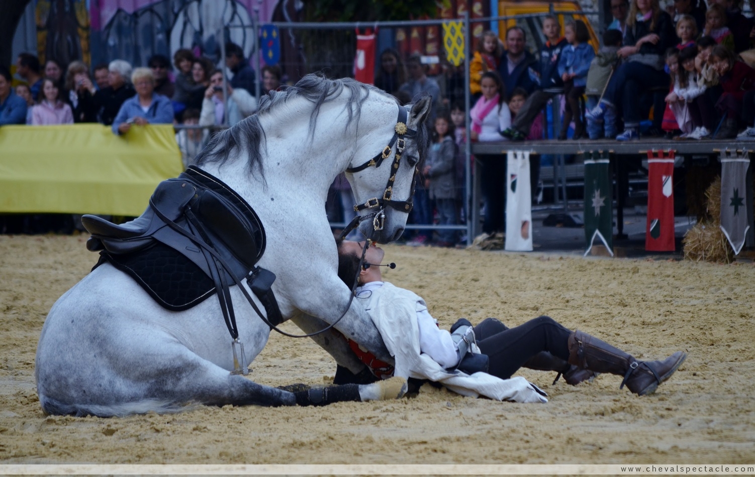 Photos de spectacle équestre, Chevalerie, Indiens, Mousquetaires...